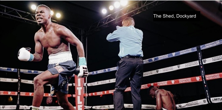 Bermudian Andre Lambe Captures the American Boxing Organization ...
